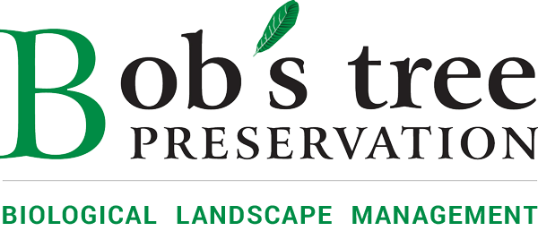 Pruning | Bobs Tree Preservation